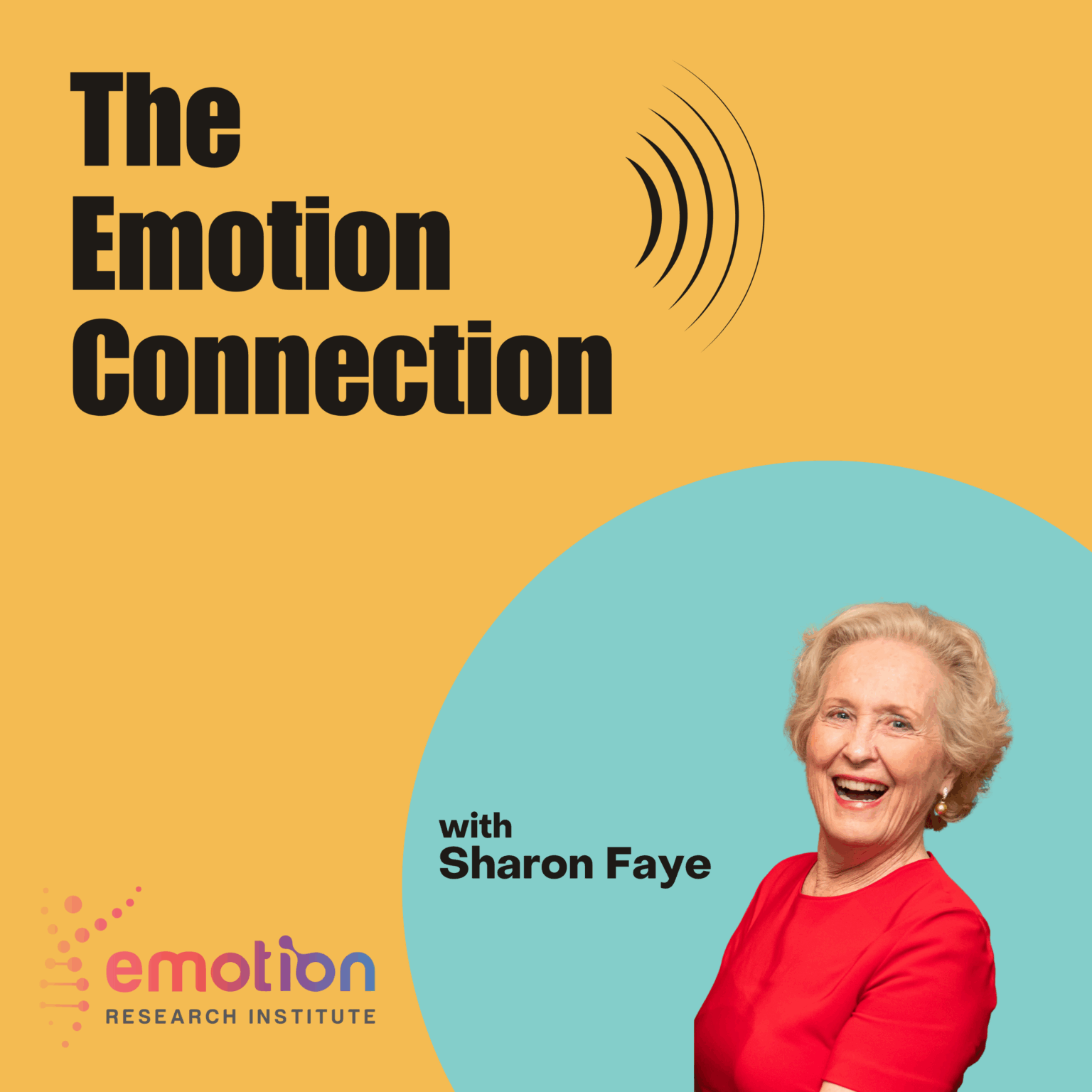 The Emotion Connection Podcast - Emotion Research Institute
